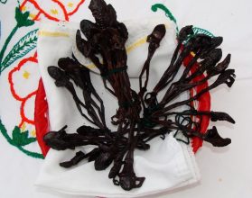 Historia de Atzalan - Conoce Veracruz