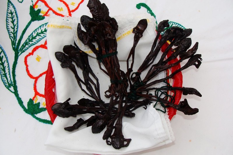 Calates, la comida exótica de Atzalan - Conoce Veracruz