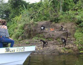 Historia de Atzalan - Conoce Veracruz