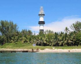Excursión de un día a las ruinas de El Tajín y Papantla - Conoce Veracruz